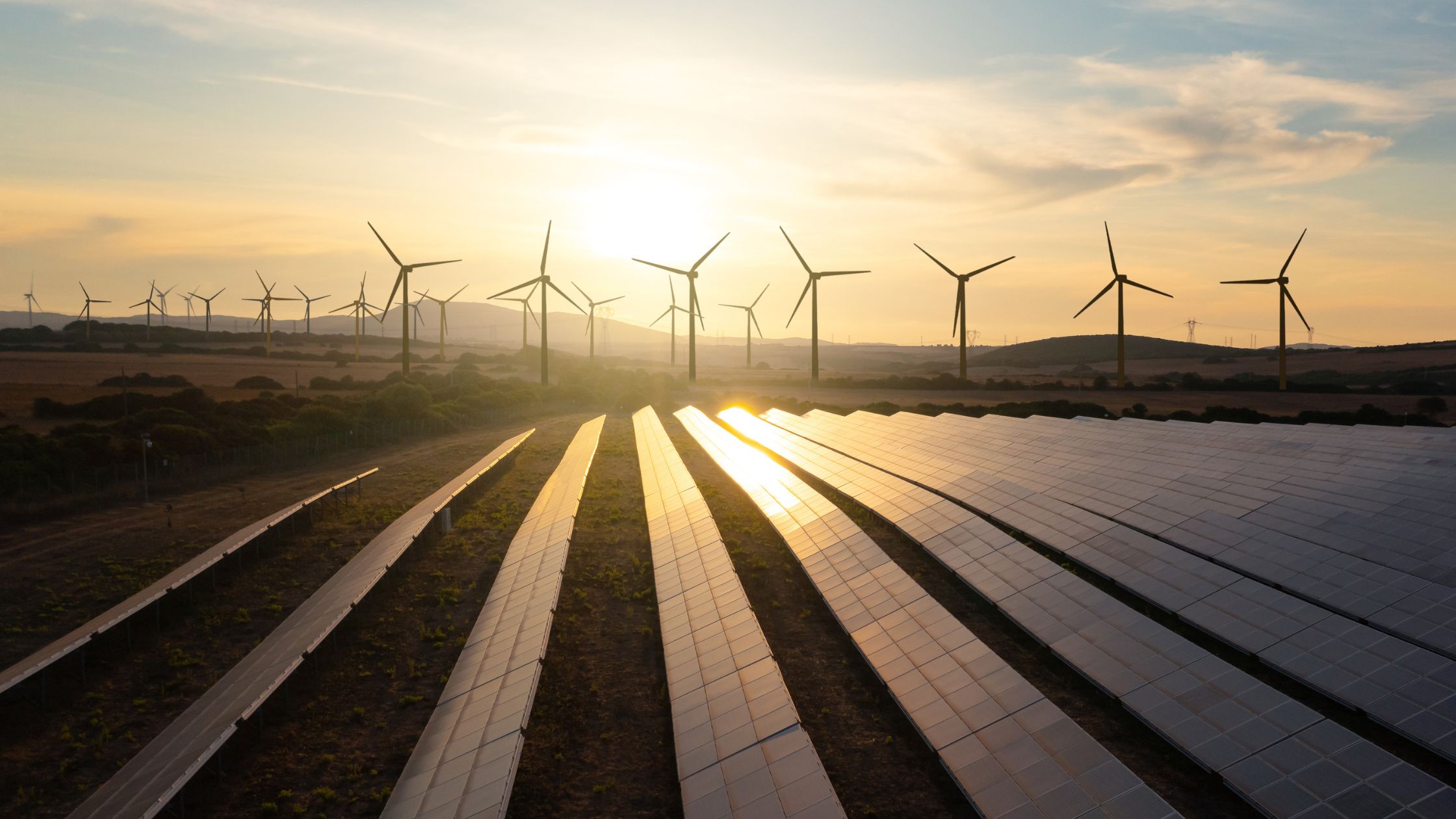 Green Energy Consumers Alliance