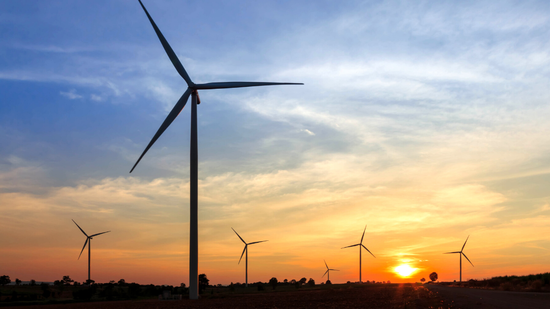 Fearless Fish Market Goes Green | Green Energy Consumers Alliance