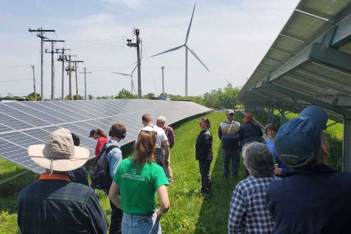 Green Energy Consumers Alliance